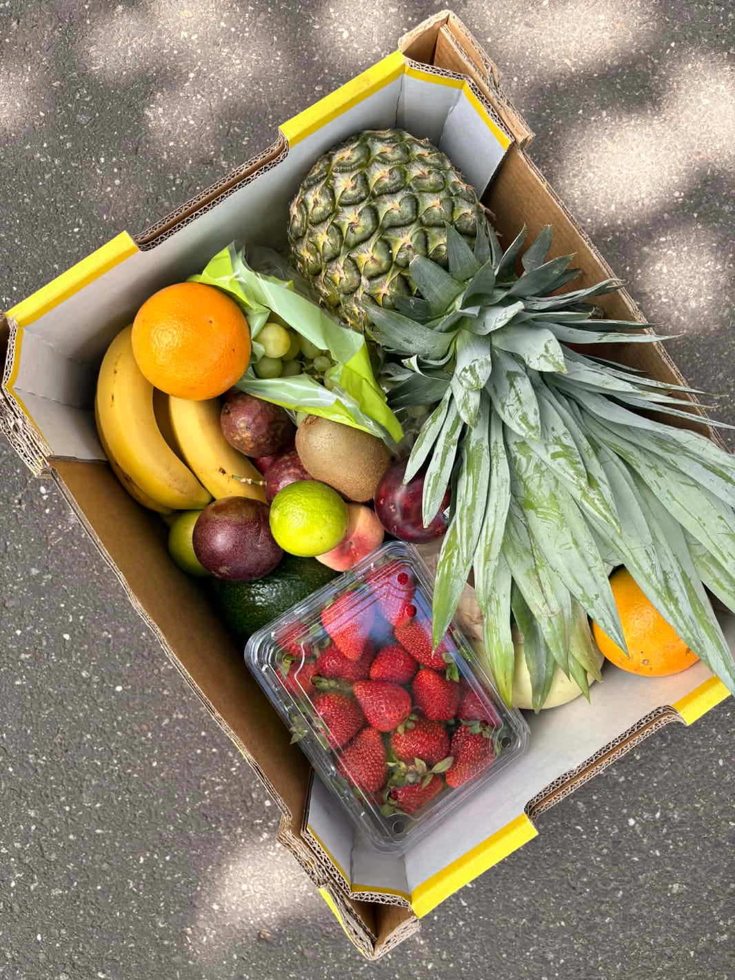 Pino's Fruit and Vegetables Boxes – Pino's Mercato 1958 - St Kilda