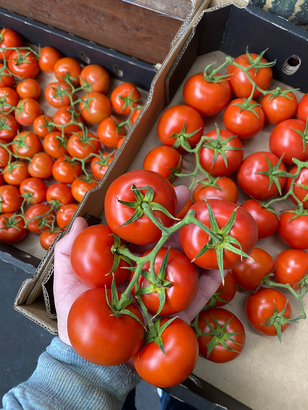 Products – Pino's Mercato 1958 - St Kilda